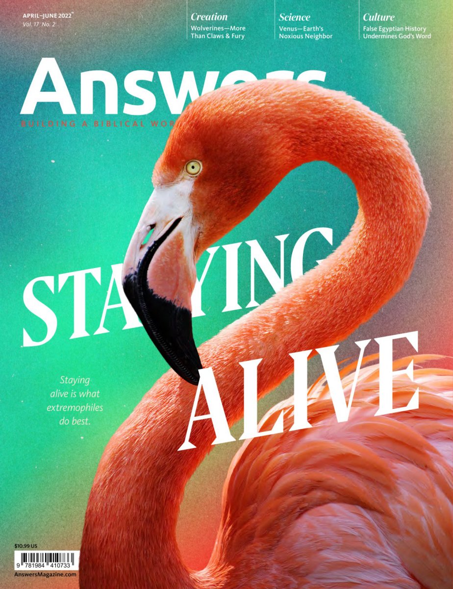 of the publisher for more information write to answers in genesis attn ...