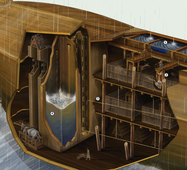 Fantastic Voyage: How Could Noah Care for the Animals? | Answers in Genesis Fantastic Voyage: How Could Noah Care for the Animals? | Answers in Genesis