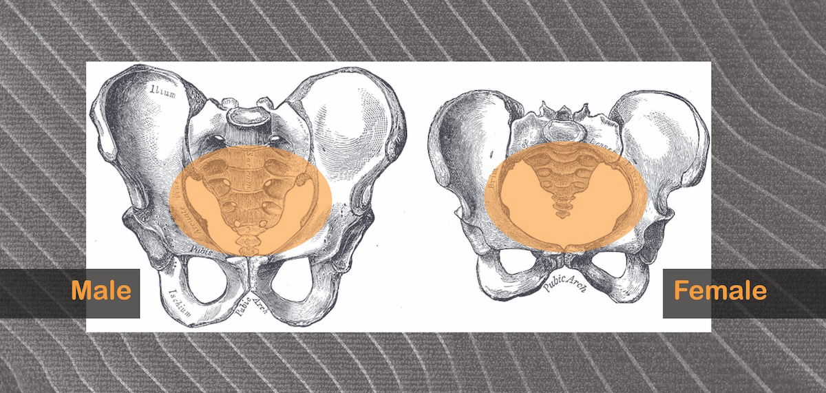 God’s Design in Bones: Identifiable and Purposeful