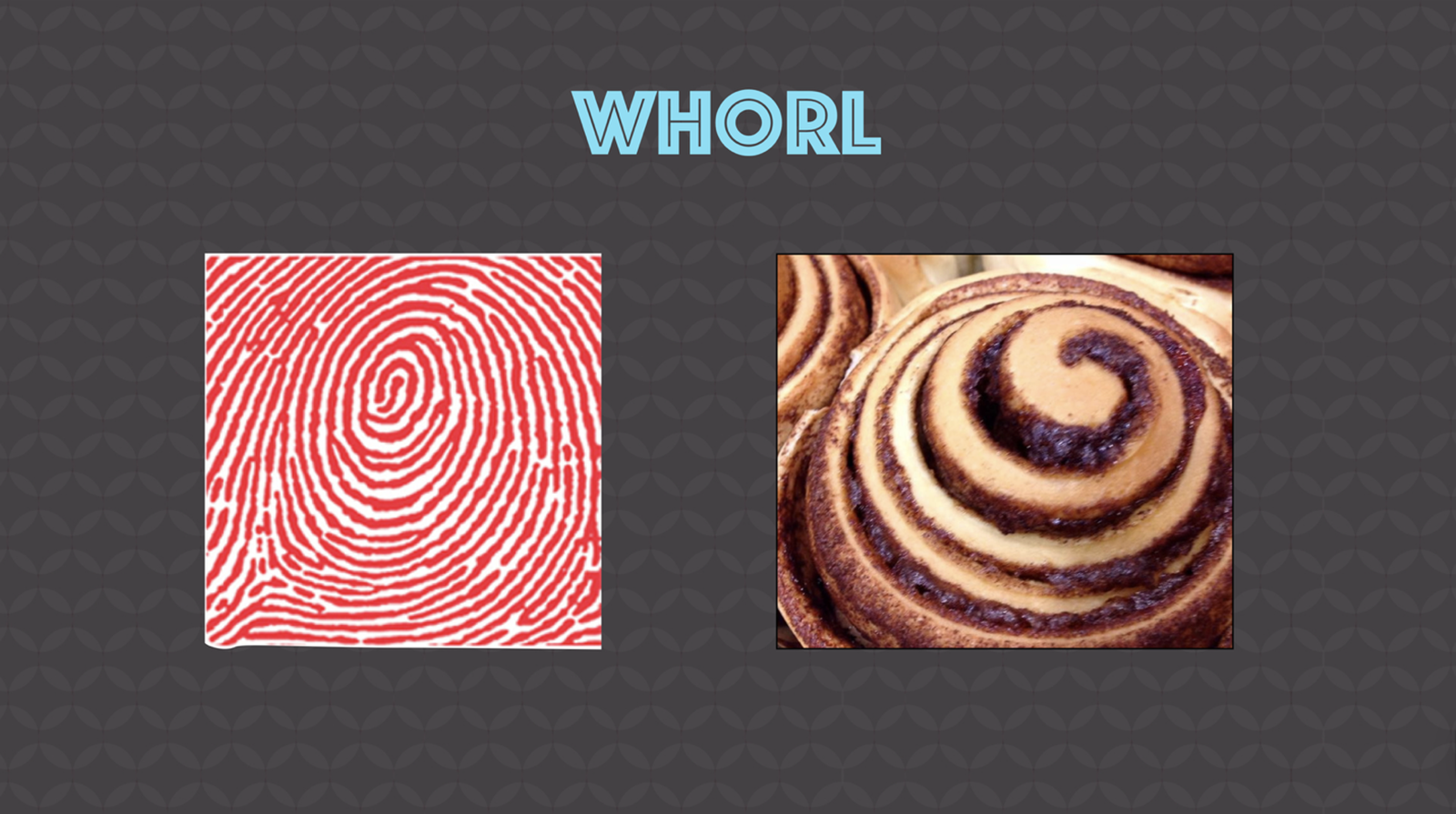 God’s Amazing Fingerprint Design