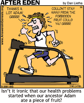 Exercise Curse | Answers in Genesis