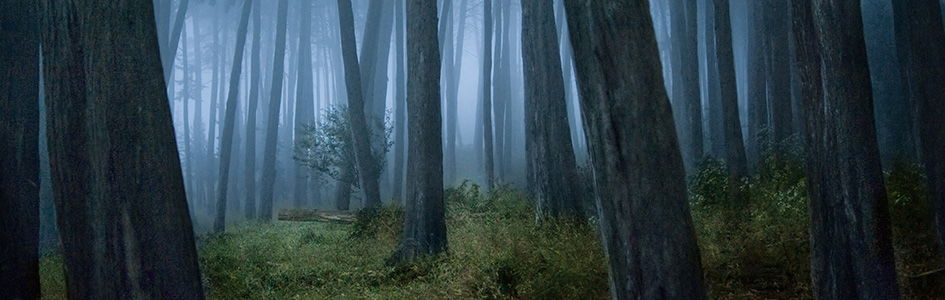 Alabama’s Underwater Forest | Answers in Genesis