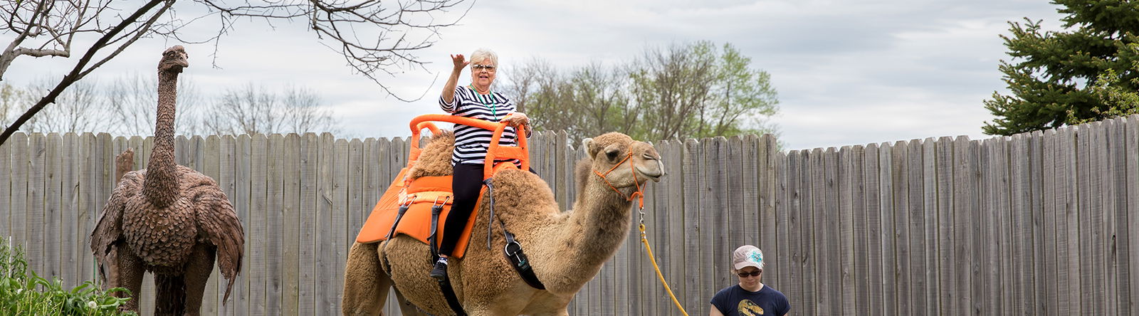 Camel Rides | Ark Encounter