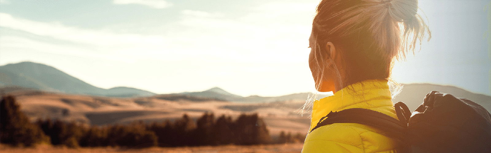 Embark on a Life-Changing Internship Journey! | Answers in Genesis