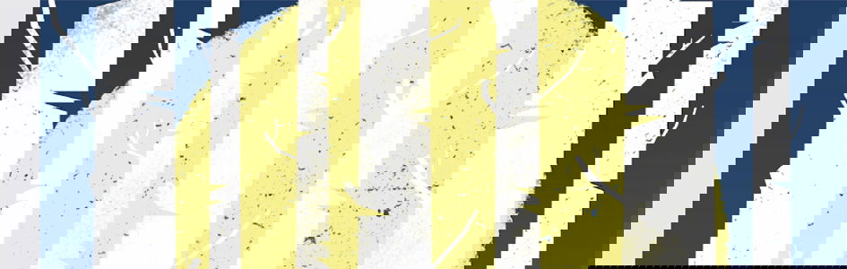 God’s Gift of Trees