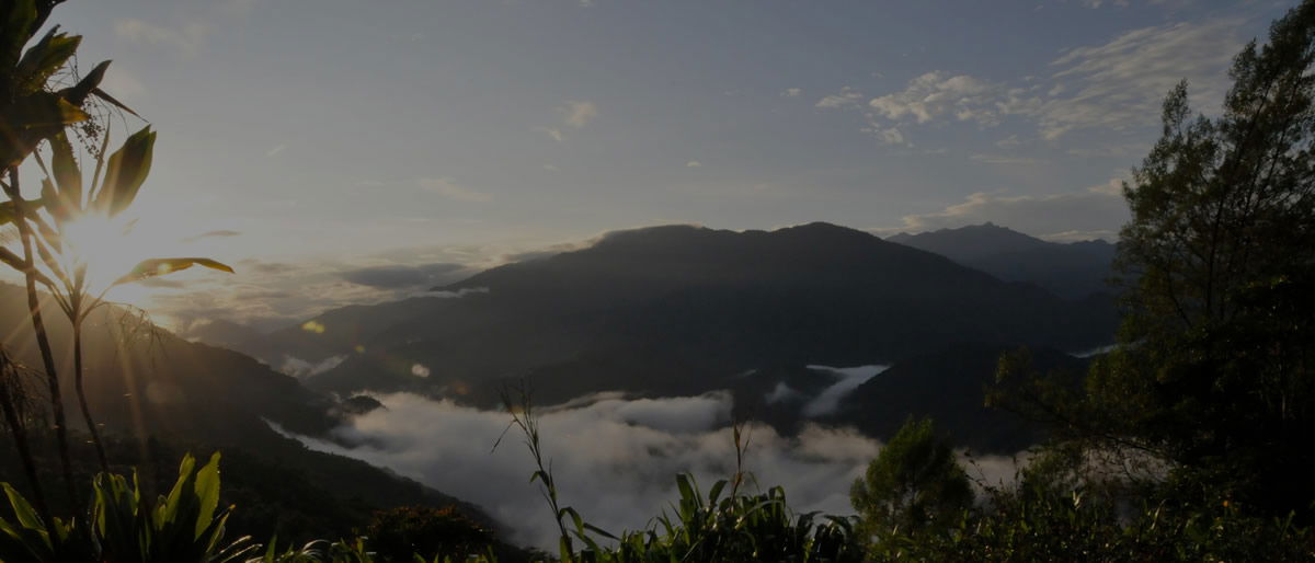 Misty Mountain Is a Metaphor for Life