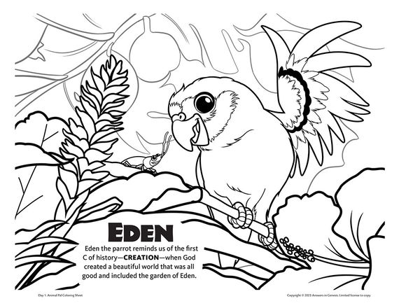 noah's ark coloring page answers in genesis