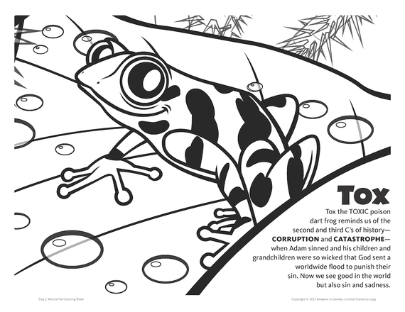 poison dart frog coloring page free