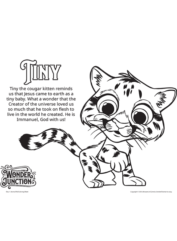 noah's ark coloring page answers in genesis