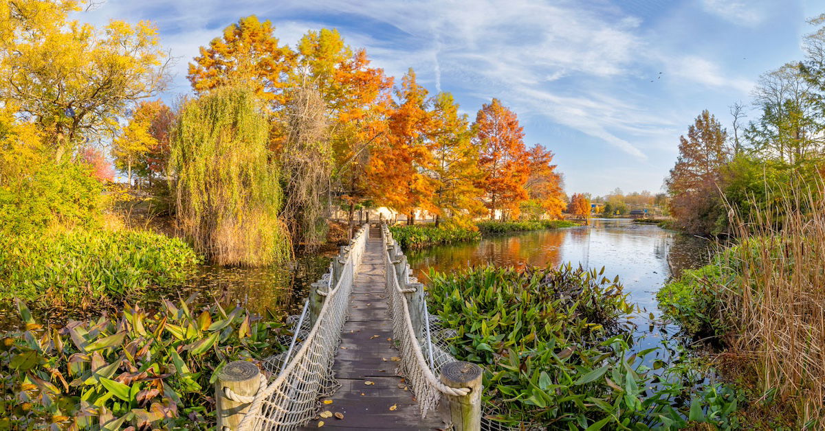Beautiful Photos Show Fall Colors at the Ark Encounter and Creation ...