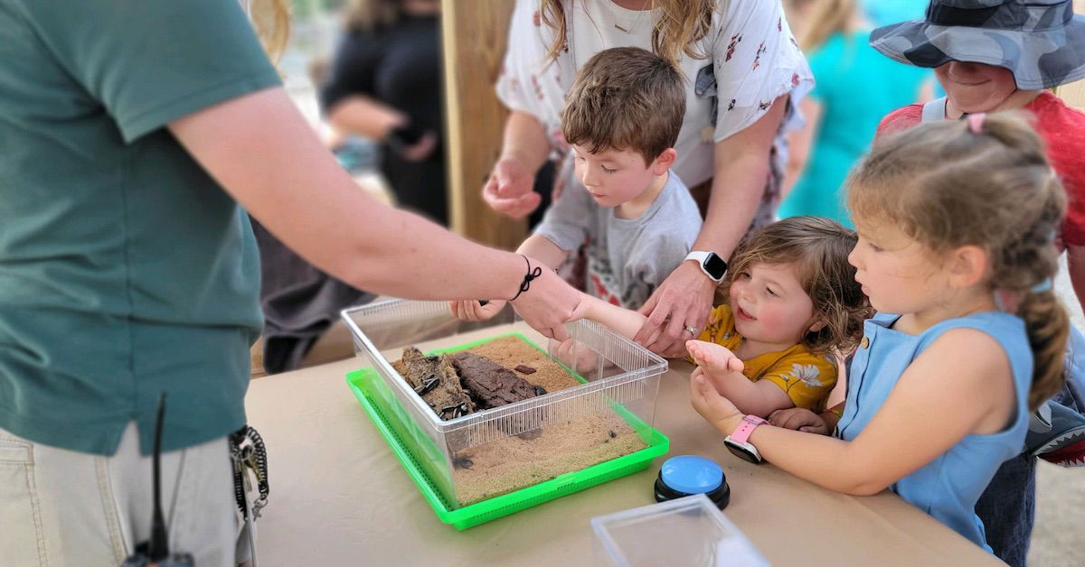 Tarantulas, Poisonous Frogs, and Cockroaches—All at the Ark Encounter ...