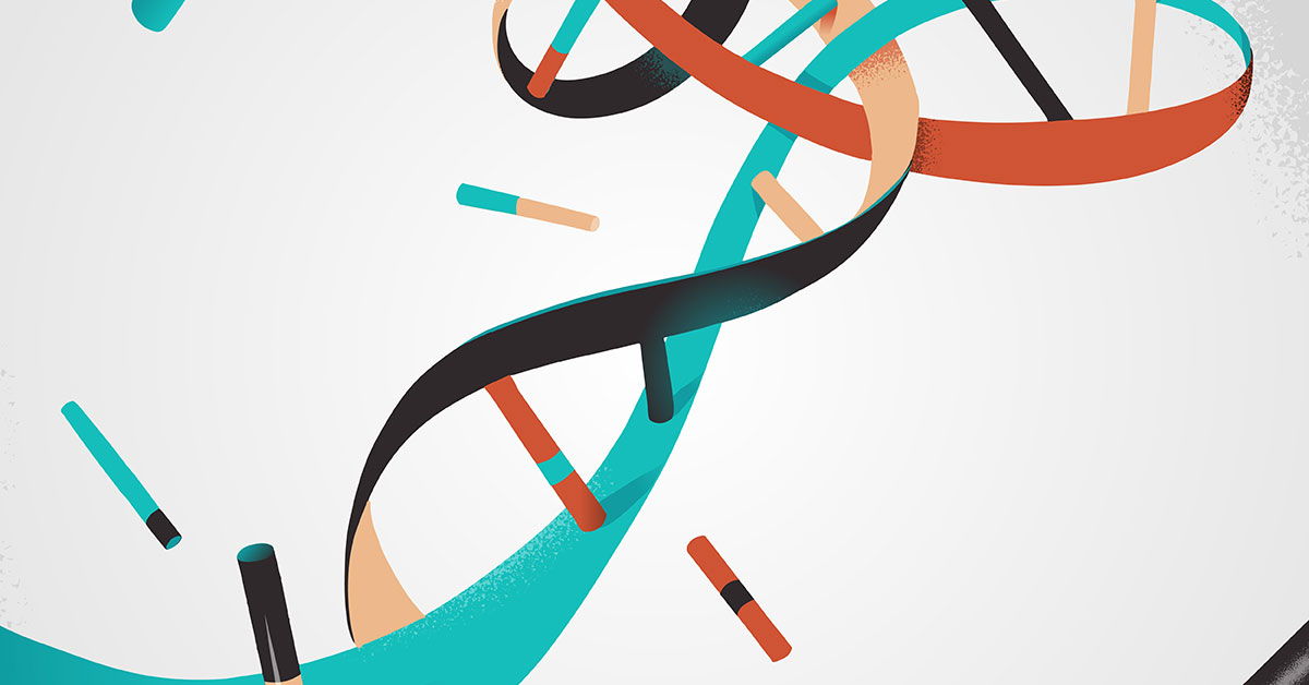 The Biology of Gender | Answers in Genesis