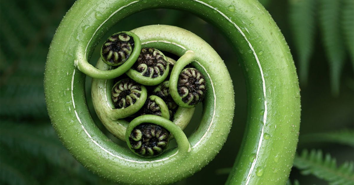 The Designer World: Our Conversation with Prof. Stuart Burgess ...