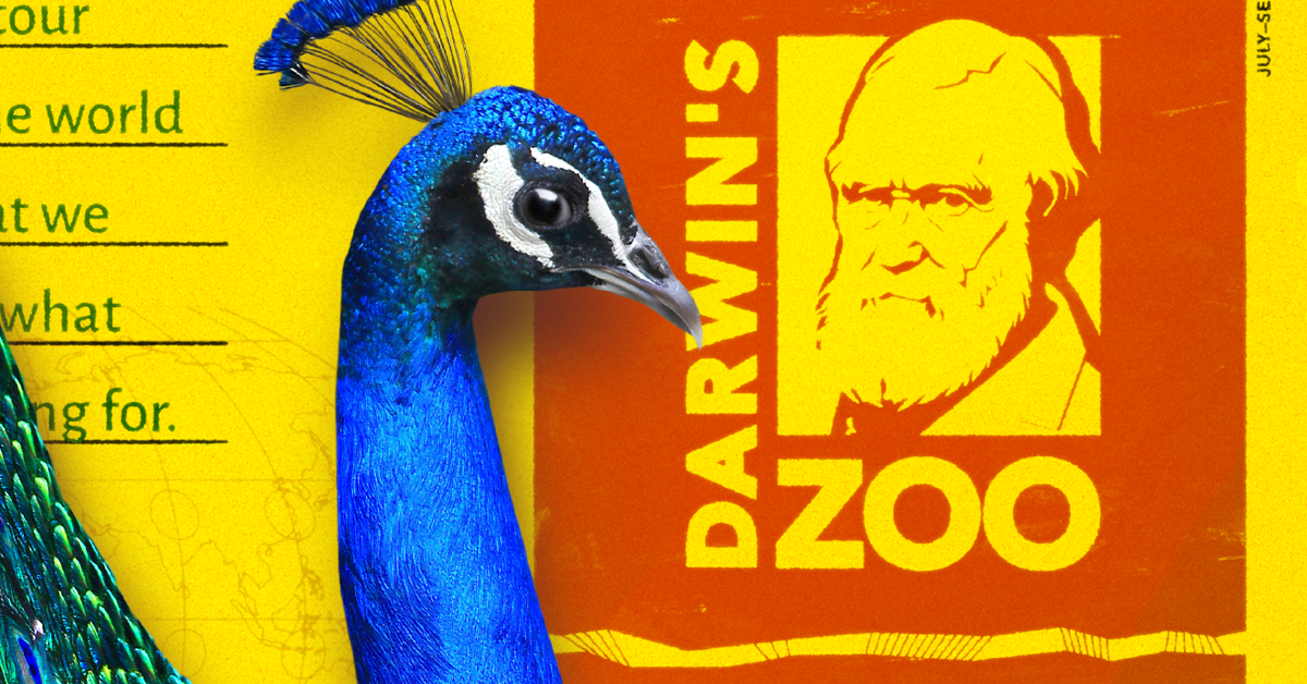 Answers magazine July–September 2024 | Answers in Genesis