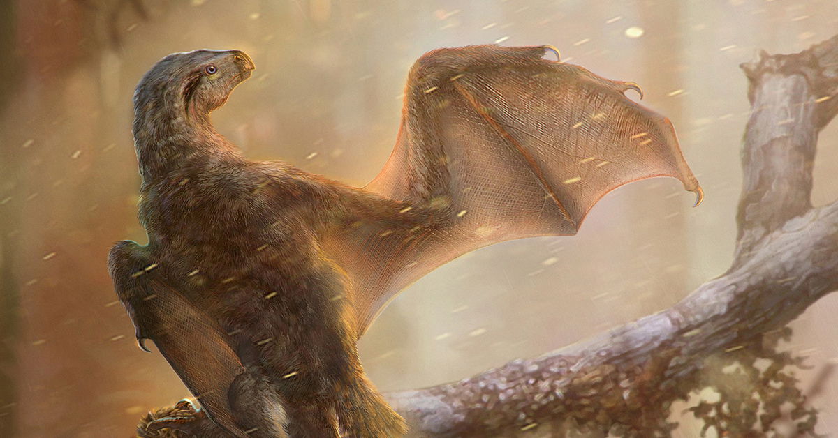 “Bat-Wing Dinosaur”—A Clumsy Flier? - Emmanuel Baptist Church