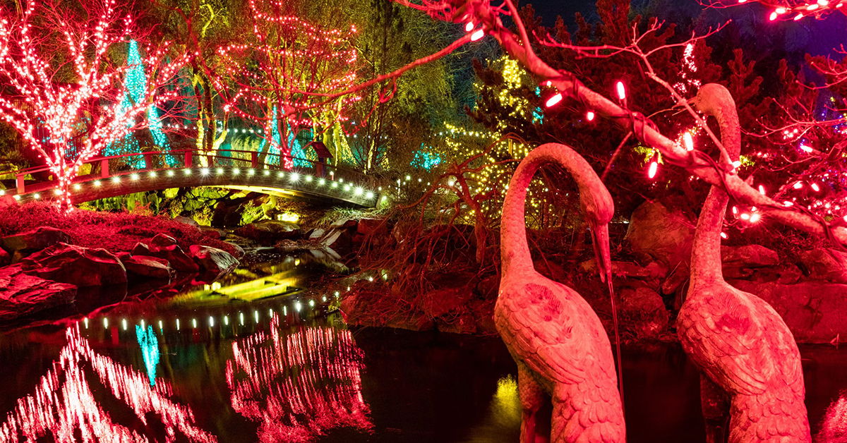 Only Four More Nights Left to Enjoy ChristmasTime and ChristmasTown ...