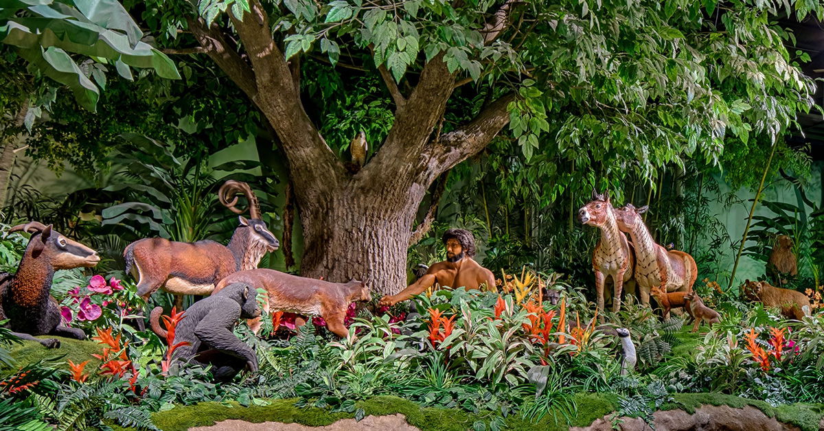 What Are Biblical Kinds?