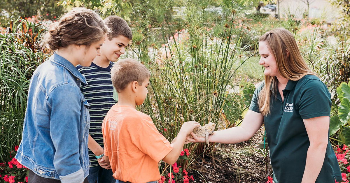 Enjoy This Drone Footage of the Creation Museum | Answers in Genesis
