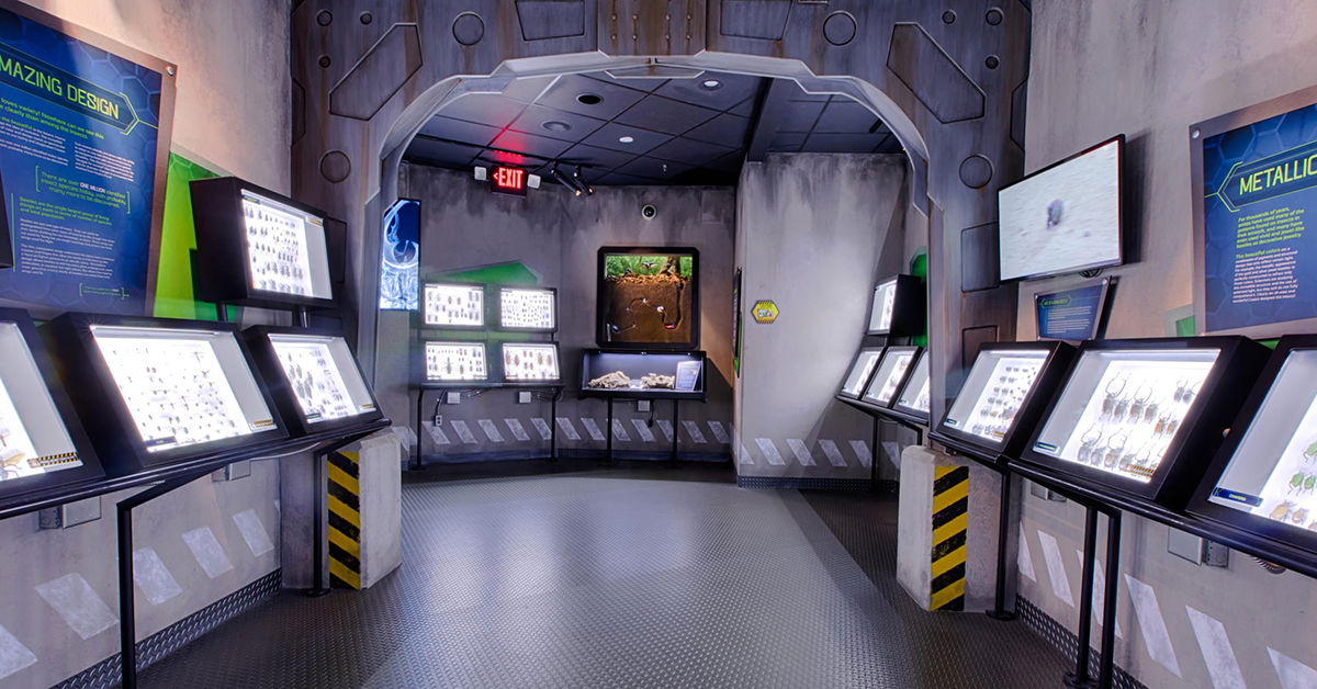 Dr. Crawley Visits the Creepy Crawlies at the Creation Museum | Answers ...