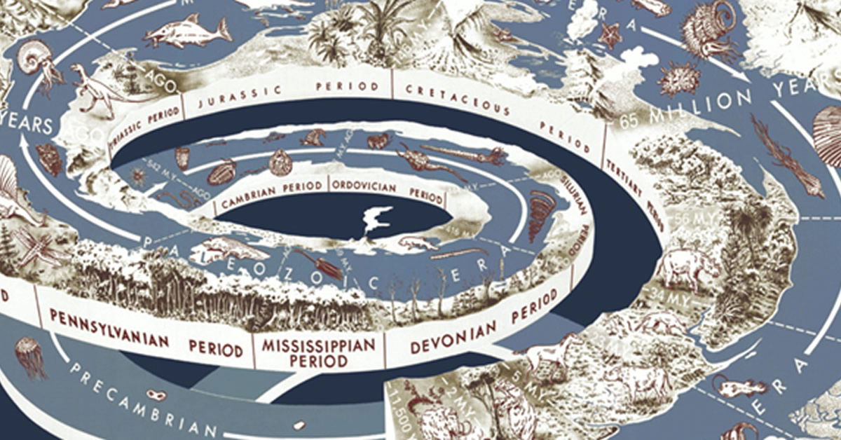 “100-Million-Year-Old” Spider with Long Tail Discovered | Answers in ...