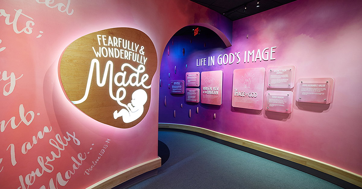 Expanded Fearfully & Wonderfully Made Exhibit Now Open | Creation Museum