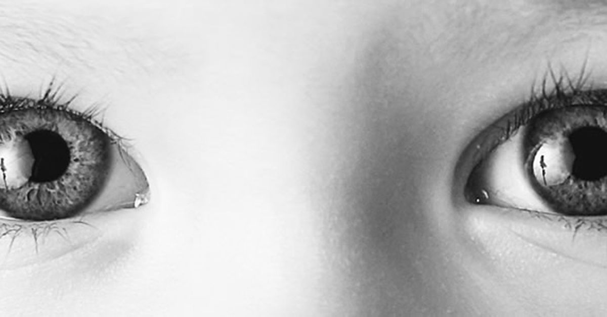 The Evolution of the Eyebrow? | Answers in Genesis