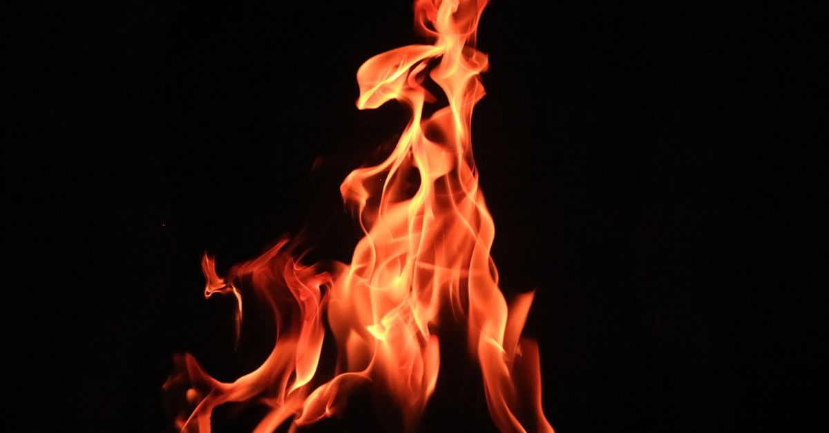 Of Course “Cave” People Could Create Art by Firelight | Answers in Genesis