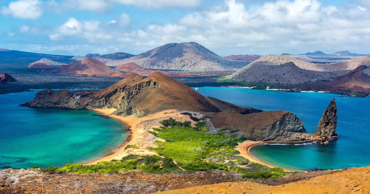 How Did Plants Get to Places like the Galápagos Islands After the Flood? | Answers in Genesis