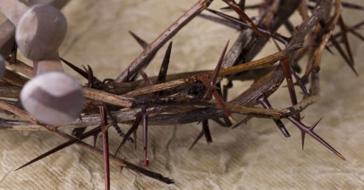 Creation Basics: What Did Jesus Say About Creation? | Answers in Genesis