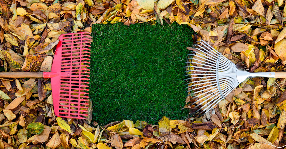 To Rake or Not to Rake
