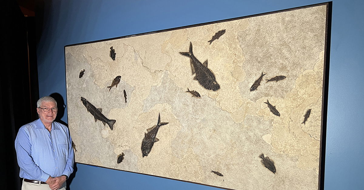 New Fossil Exhibit Opens at the Ark Encounter | Answers in Genesis