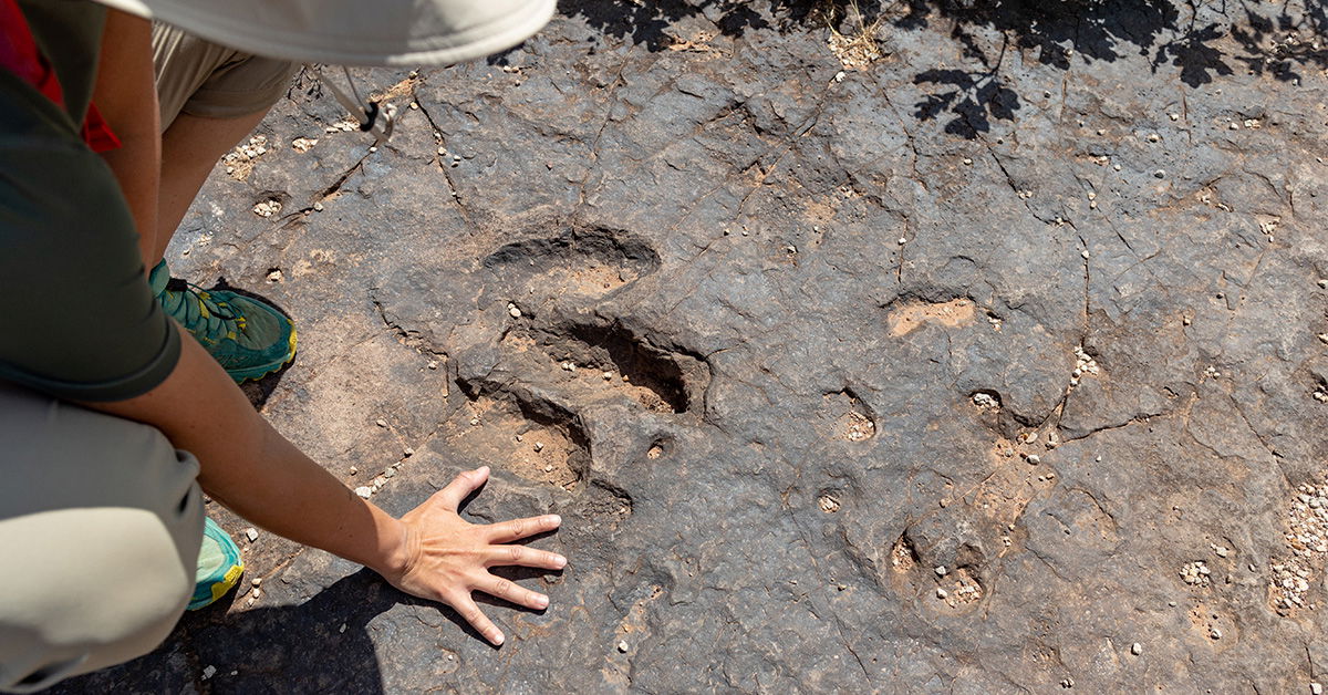 How Did Dinosaur Footprints Fossilize?
