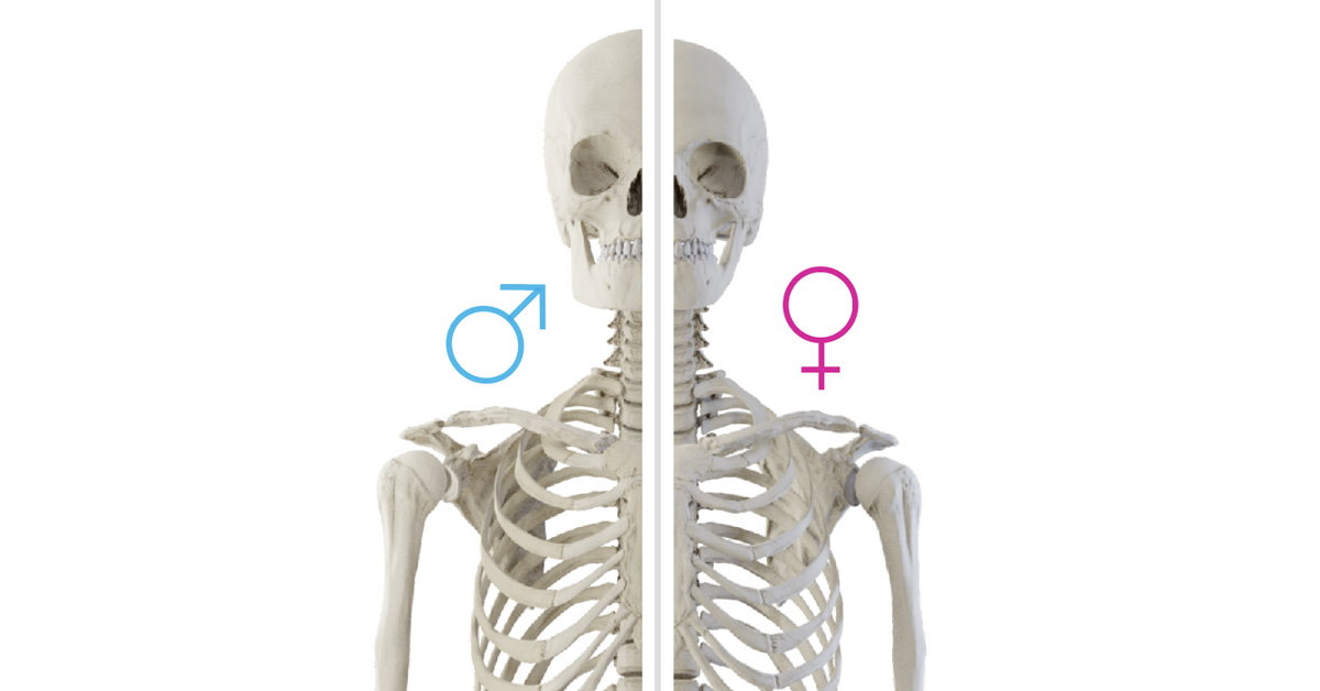 God’s Design in Bones: Identifiable and Purposeful
