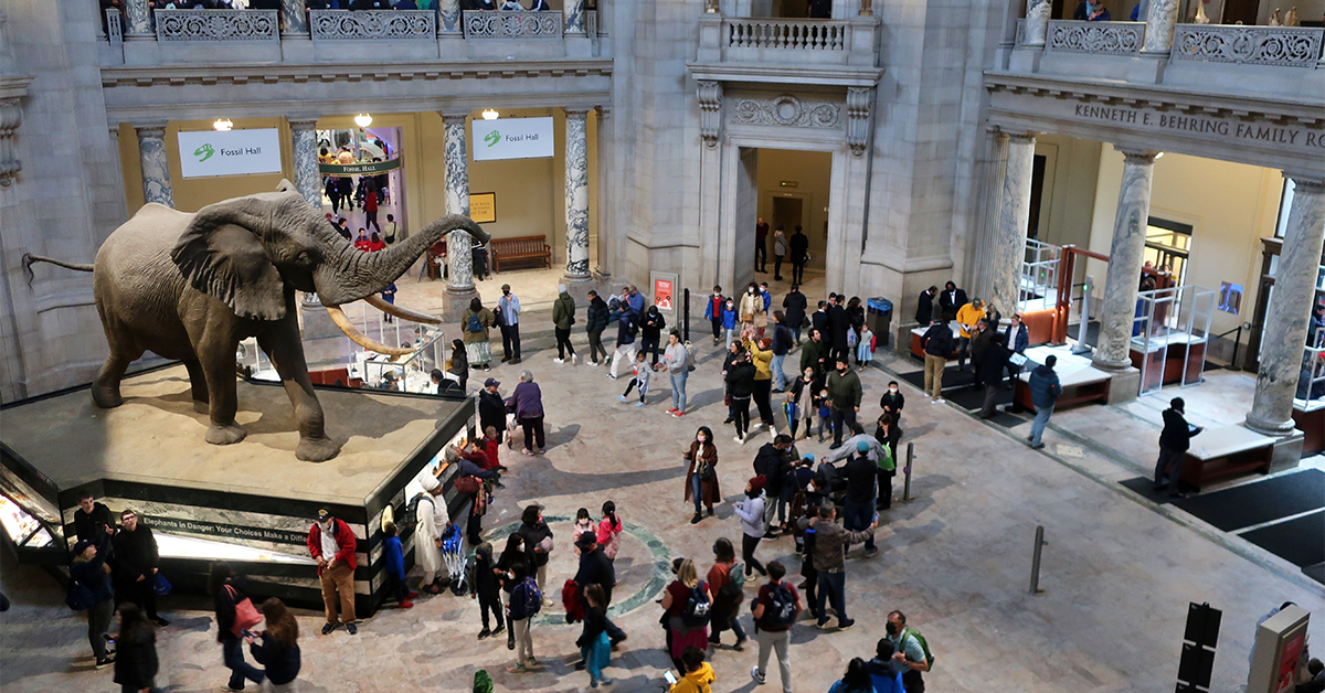 6 Tips for Touring an Evolutionary Natural History Museum | Answers in ...