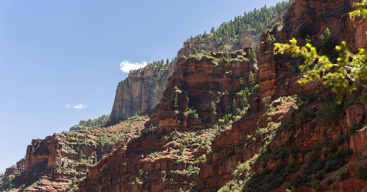 Responding to “Peaceful Science” Critics on Grand Canyon Evidence ...