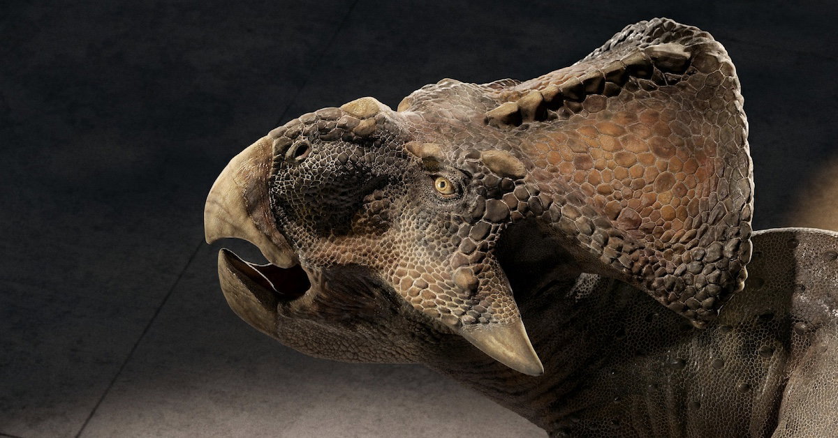 Bringing Bones to Life | Answers in Genesis
