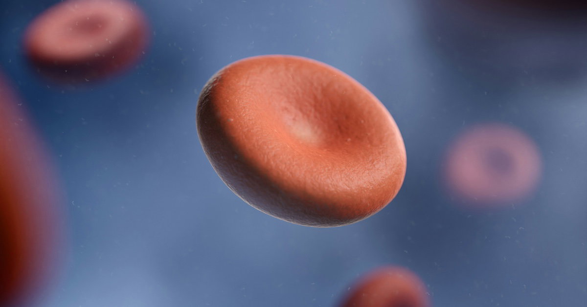 Why Is Blood Red?