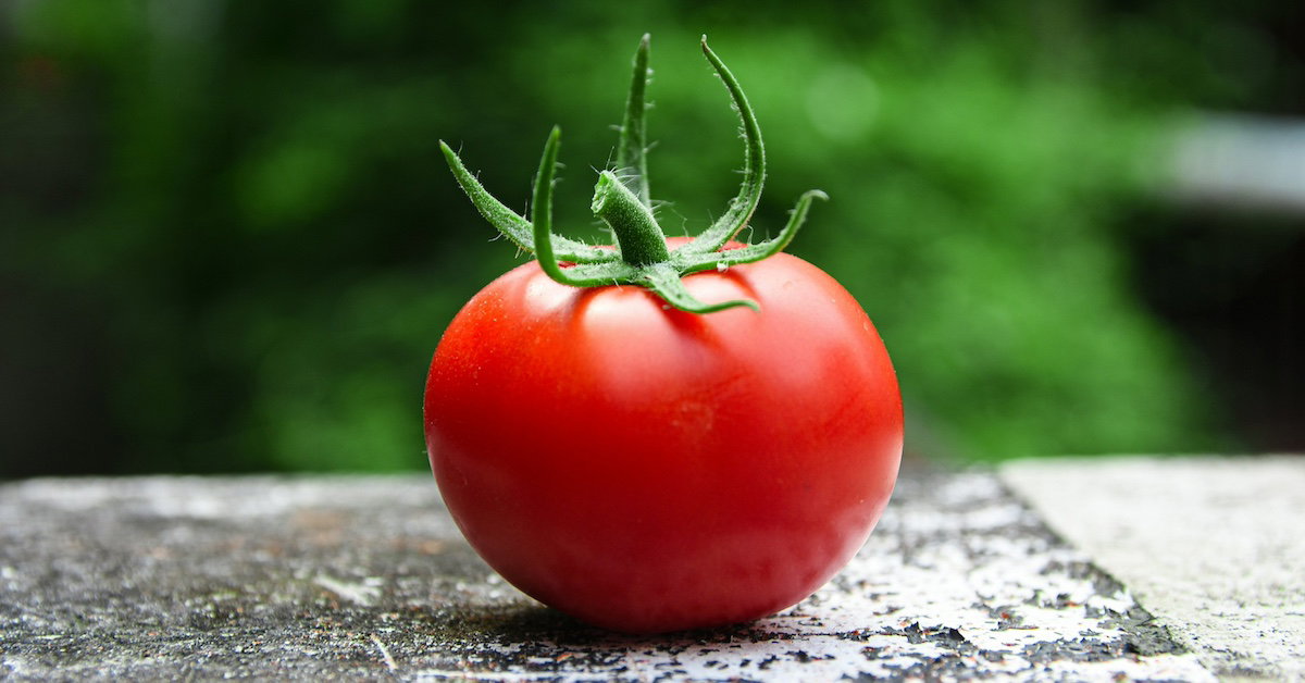 The Great Veggie Debate