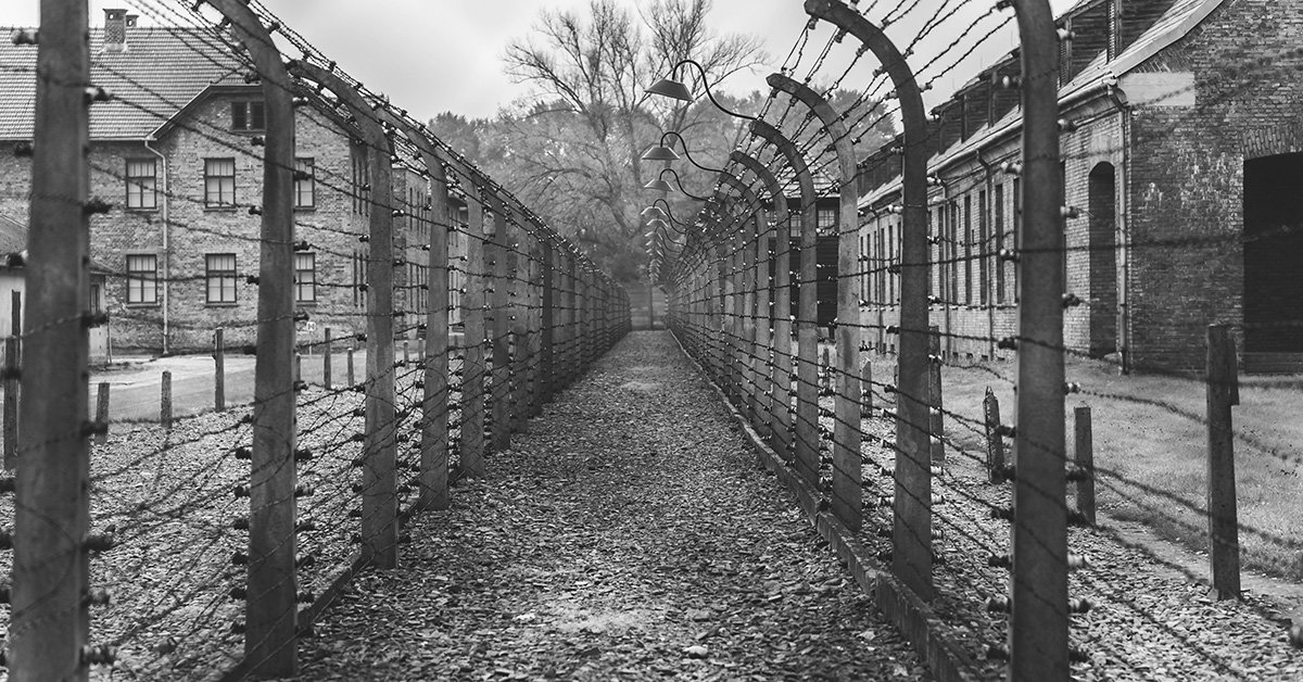 Remembering the Horrors of the Holocaust | Answers in Genesis