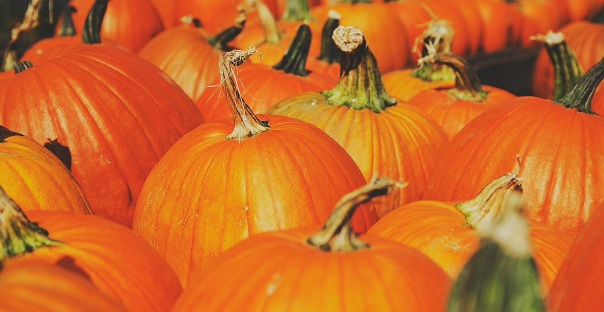 Halloween: A Remembrance of the Global Flood? | Answers in Genesis