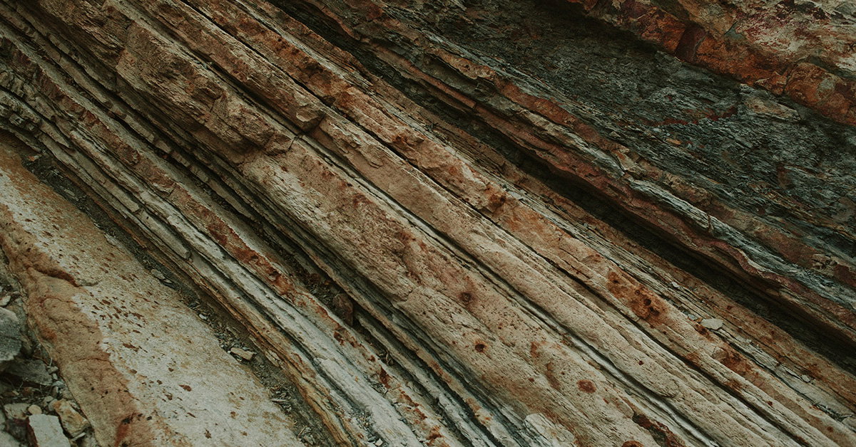 Simulating Biostratigraphy to Test Faunal Succession | Answers Research ...
