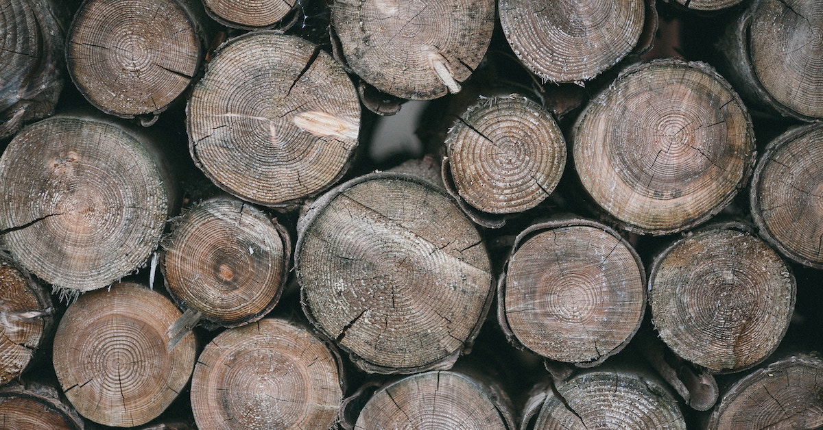 The Lord of the (Tree) Rings | Answers in Genesis