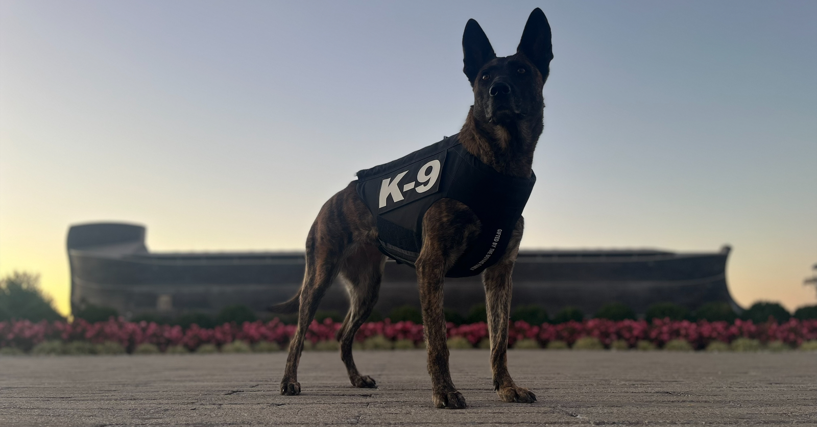 AiG Department of Public Safety K9, Maya, Receives Donation of Body Armor | Answers in Genesis