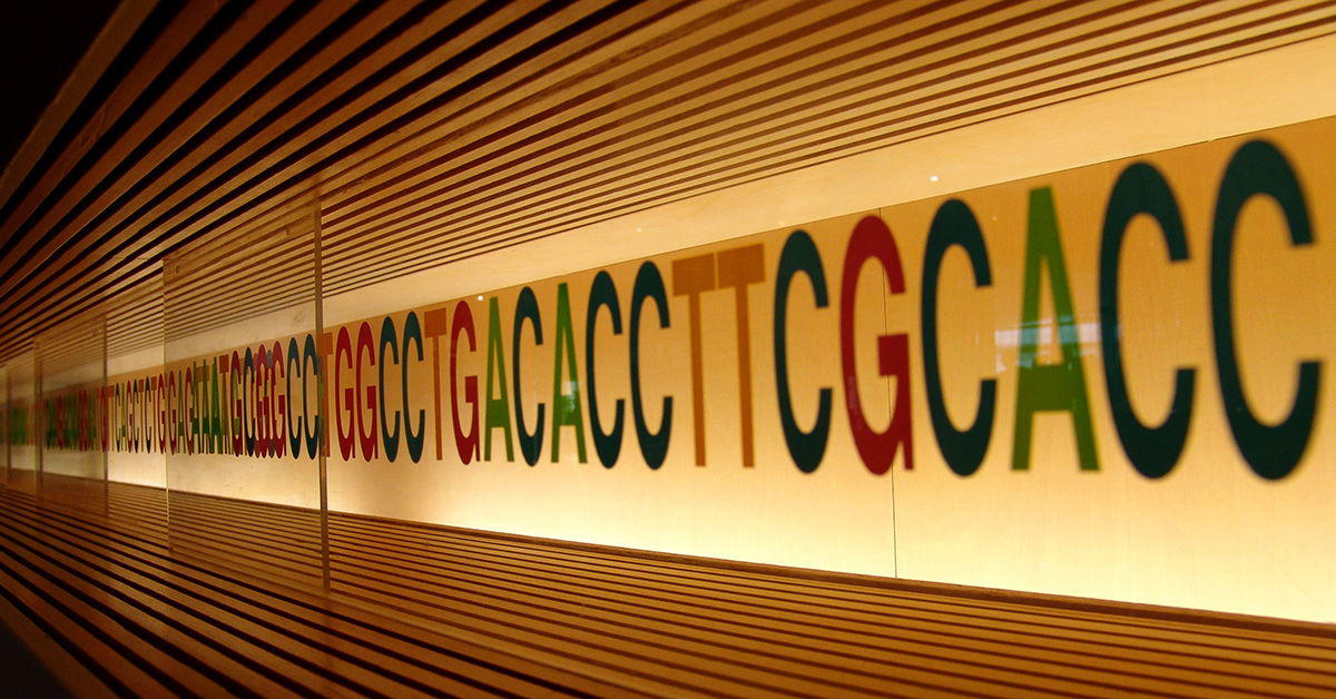 Why the Similarity Percentage of Chimp and Human DNA Is Deceptive ...