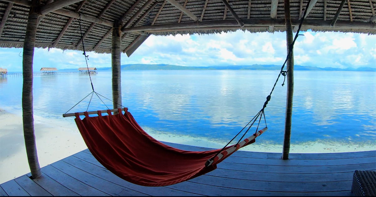 The Invaders (Vlog Episode 13)