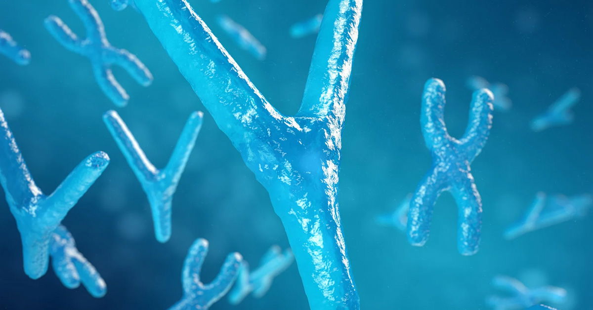 Ancient DNA Shows Neanderthals and Denisovans Descending from Noah in ...