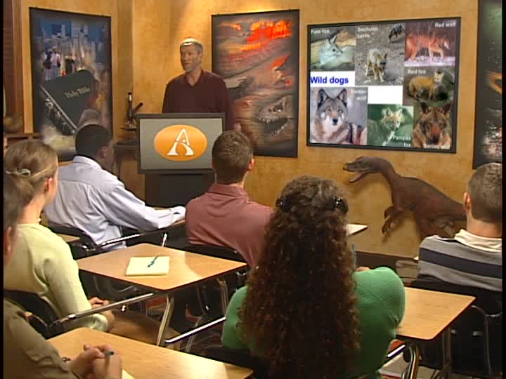 Answers Academy: After Its Kind | Answers in Genesis