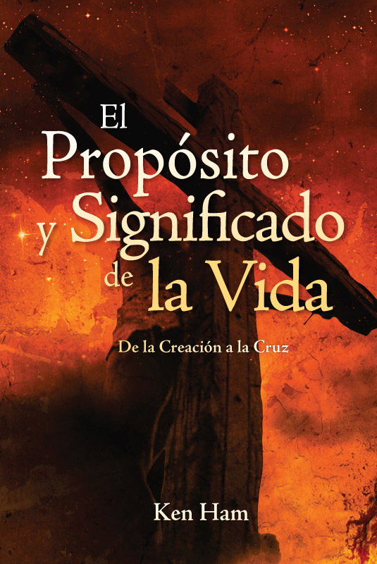 The Purpose Meaning Of Life Spanish Booklet Answers In Genesis The Purpose Meaning Of Life Spanish Booklet Answers In Genesis