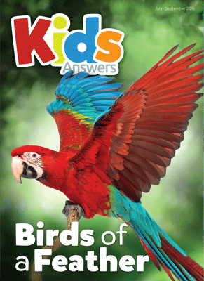Kids Answers Mini-magazine - Vol. 11 No. 3 (Magazine) | Answers in Genesis