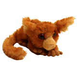 Ark Kids | Answers in Genesis